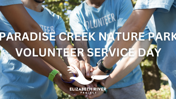 Volunteer Service Day at Paradise Creek Nature Park 9 - 11 am - Olde ...